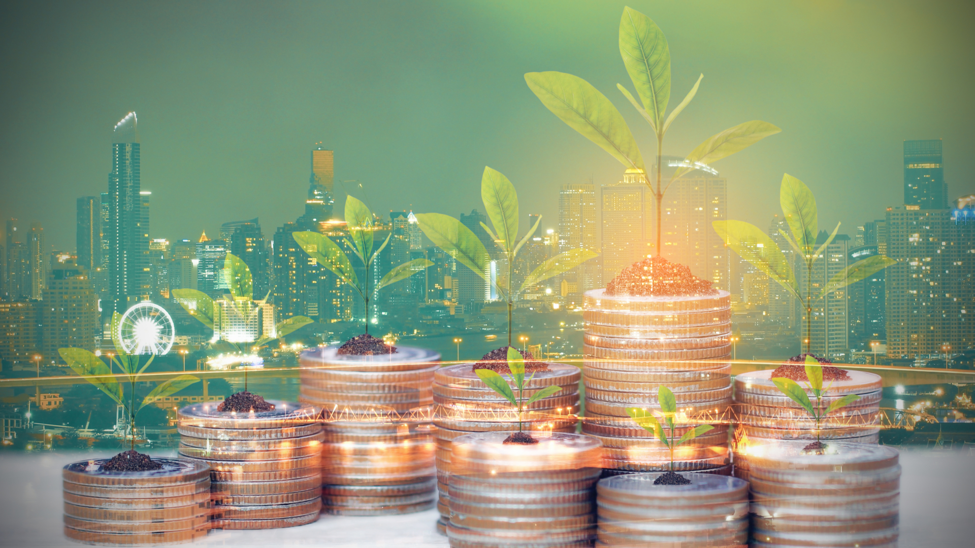 Green public procurement (GPP), cos'è e perché conviene sceglierlo