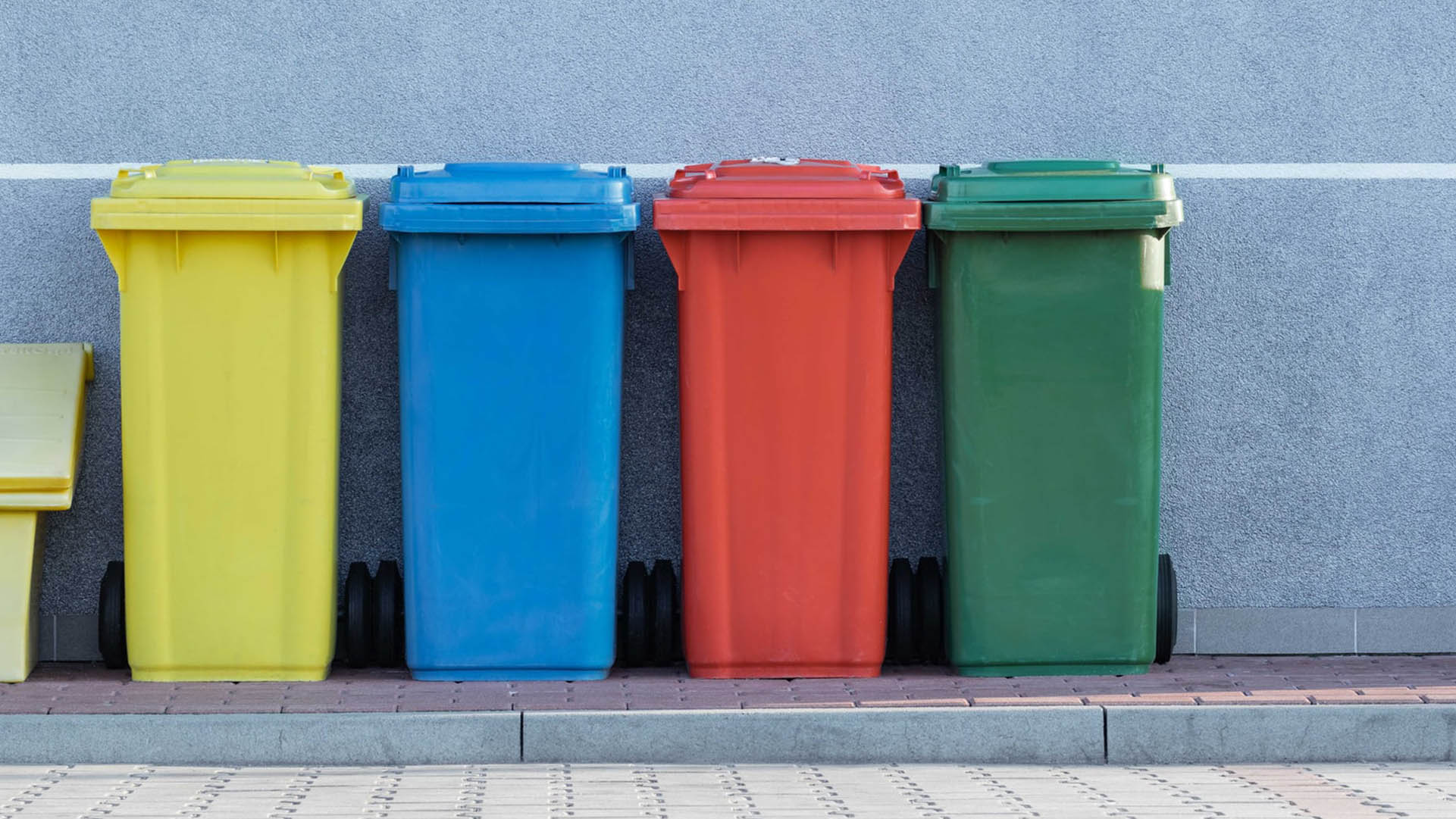 Ekovision digitalizza la gestione dei rifiuti insieme a Ifin Sistemi