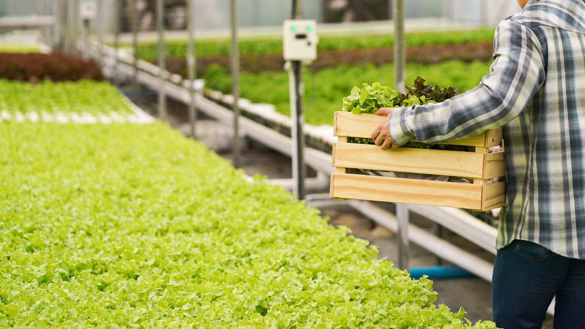 Filiera corta digitale, la tracciabilità come nuova leva di business