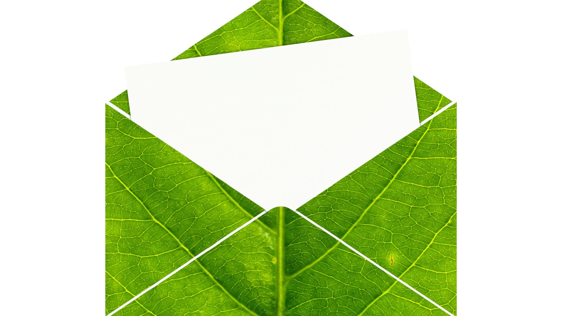 E-mail e ambiente: tre consigli di Econocom per ridurre le emissioni